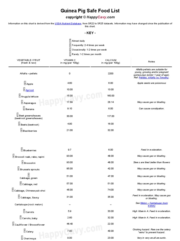 Guinea Pig Safe Food List: Happy | Broccoli | Cabbage