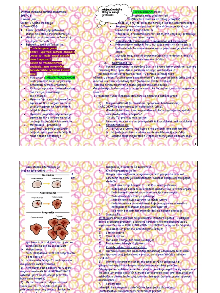 Im Skripta 1 KLK | PDF