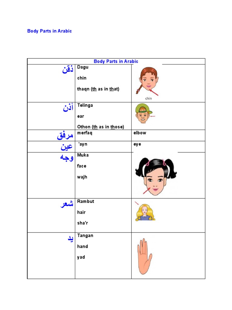 Arabic Body Parts Vocabulary Guide | PDF