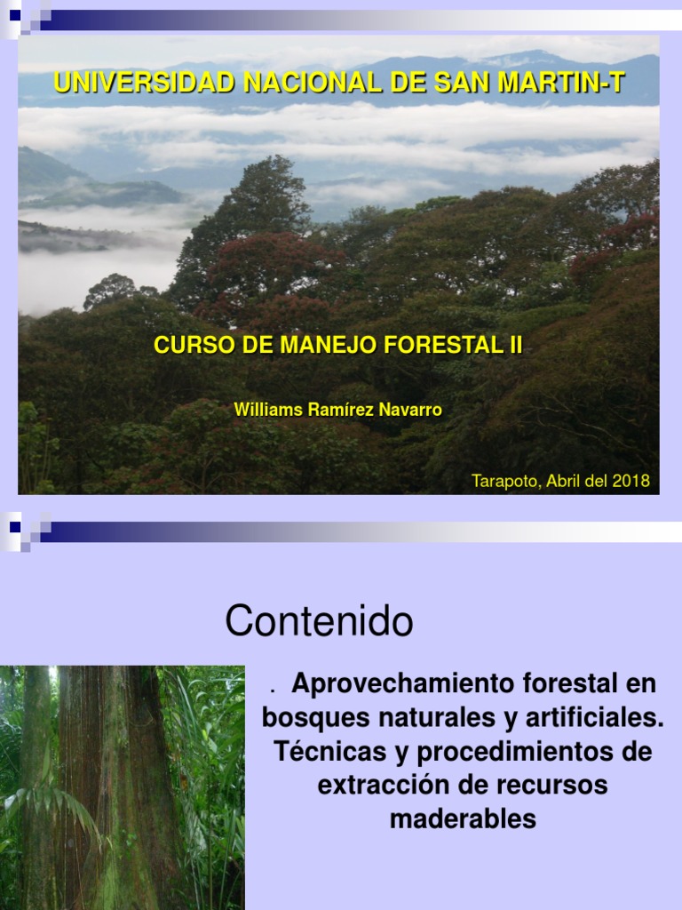 10 Aprovechamiento Forestal en Bosques Naturales y Artificiales | PDF ...