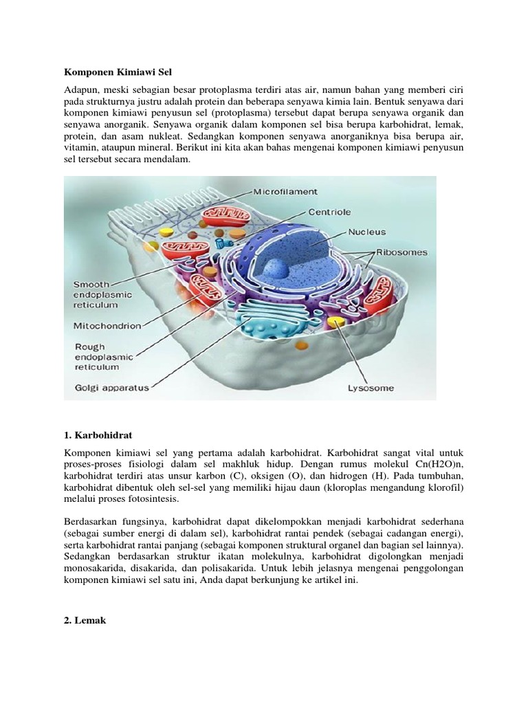 Komponen Kimiawi Sel | PDF