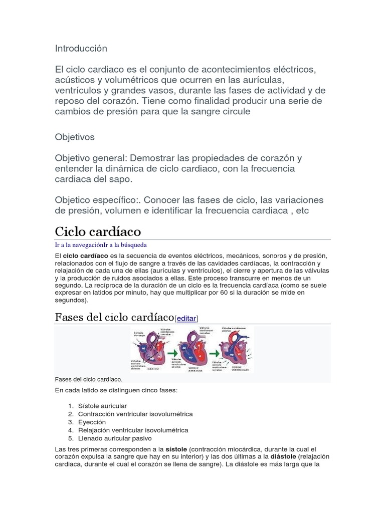 Fases del Ciclo Cardíaco Explicadas | PDF | Corazón | Sistema ...