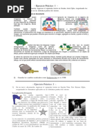 Ejercicio Práctico de SmartArt | PDF | Microsoft Word | Software