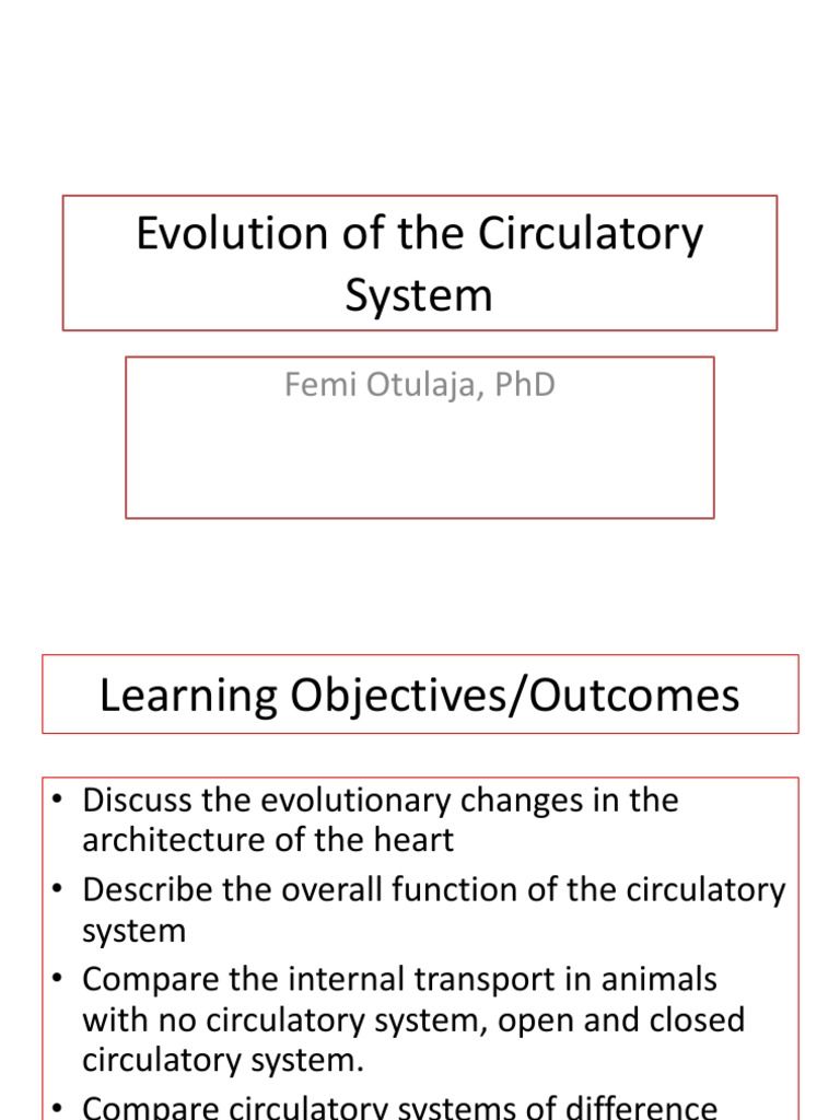 Evolution of The Circulatory System | PDF | Circulatory System | Atrium ...