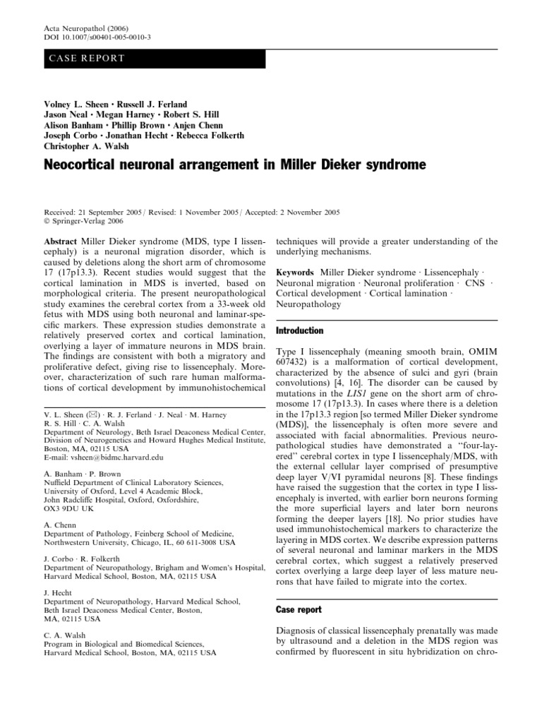 Miller Dieker | PDF | Cerebral Cortex | Brain