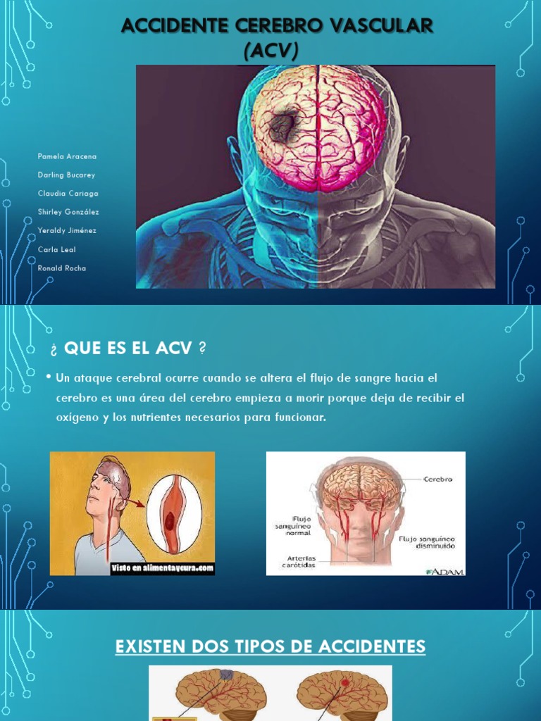 ACV | PDF | Carrera | Presión sanguínea