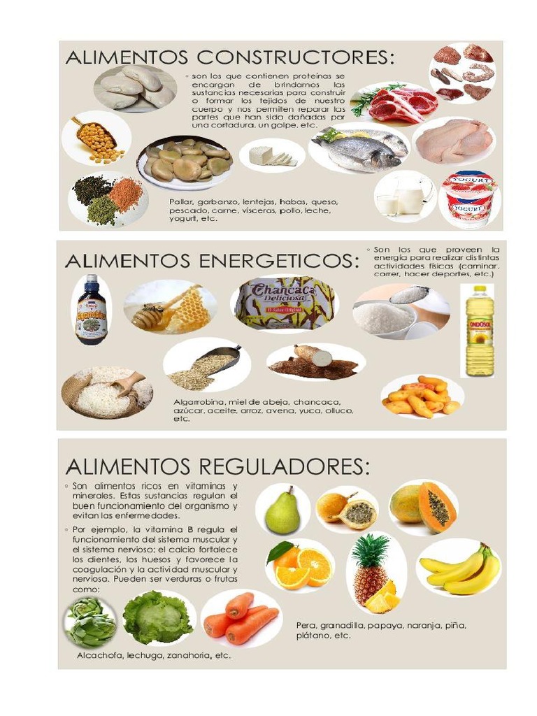 Tipos de Alimentos | PDF