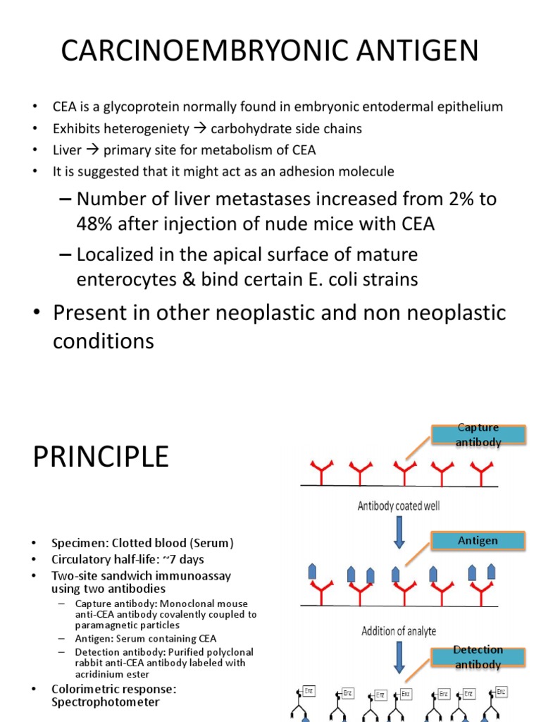 Carcinoembryonic Antigen Overview | PDF | Colorectal Cancer | Antibody