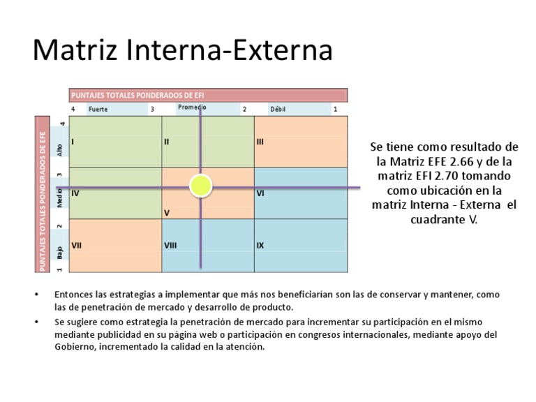 Matriz Ie | PDF