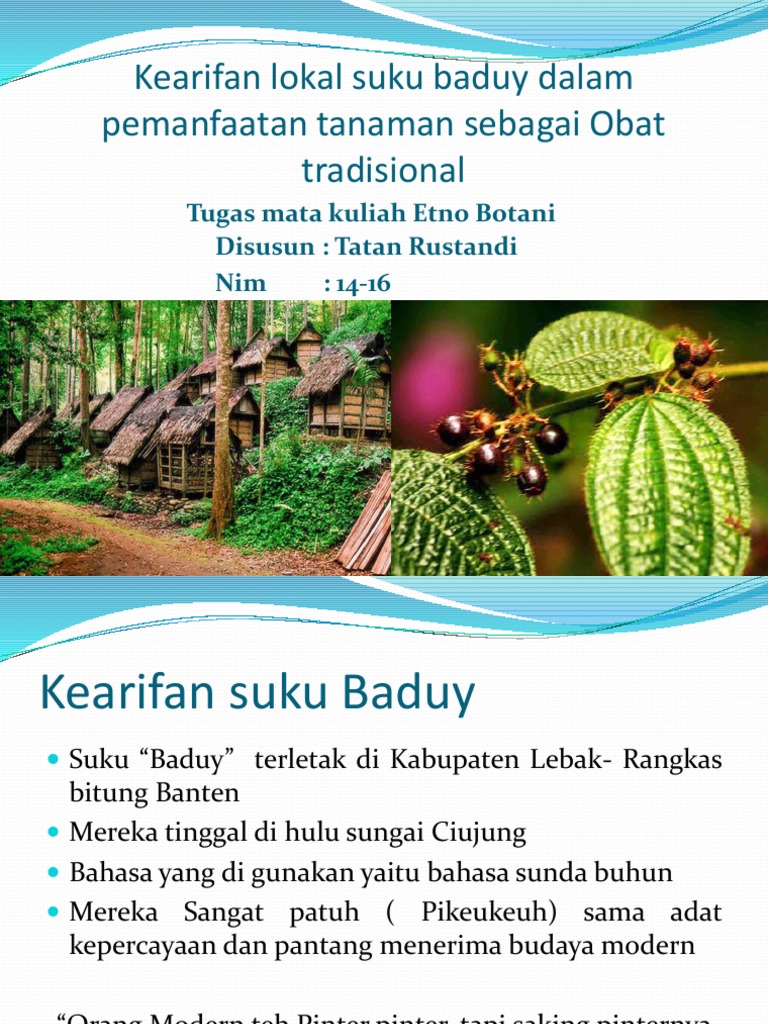 Obat Tradisional Suku Baduy | PDF