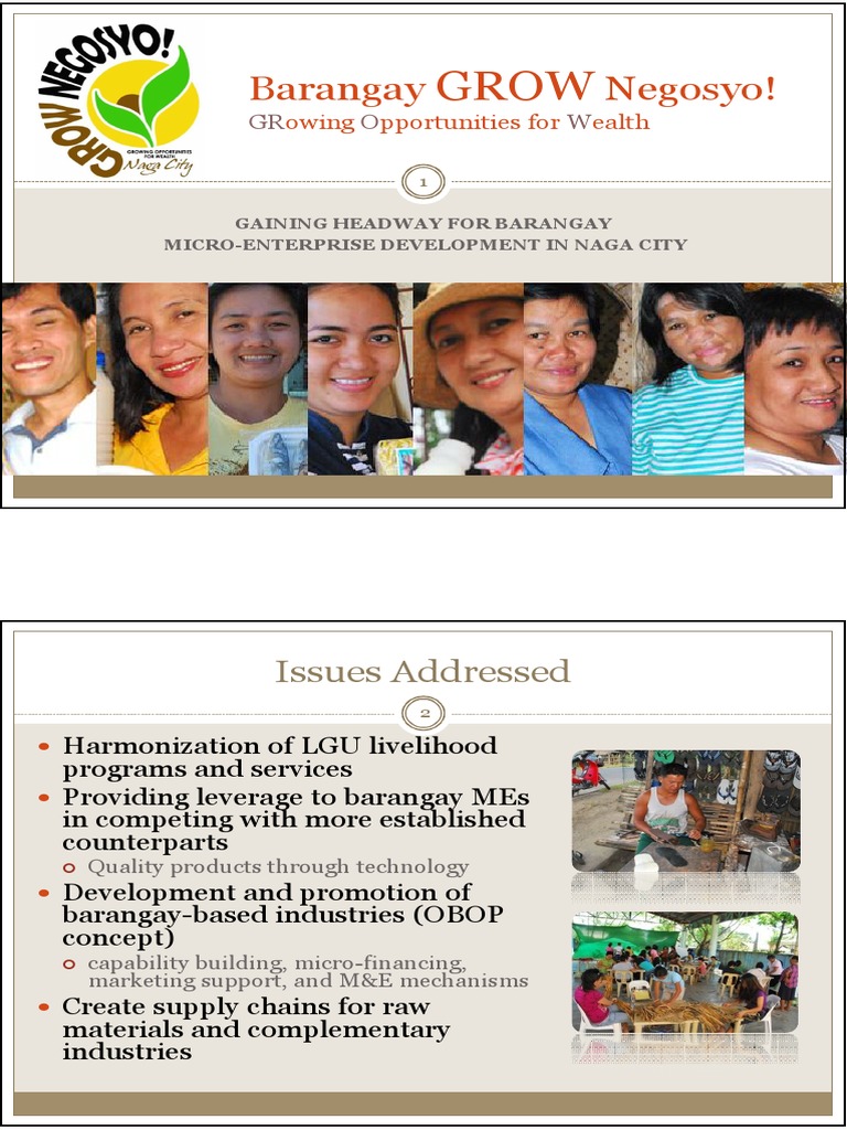 Livelihood Program Plan PDF | PDF | Business | Marketing
