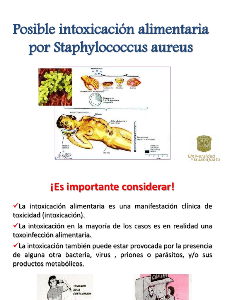Posible Intoxicación Alimentaria Por Staphylococcus Aureus ...