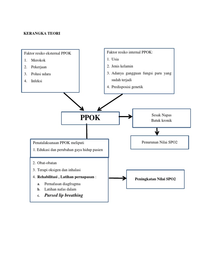 Faktor Risiko dan Penatalaksanaan PPOK | PDF