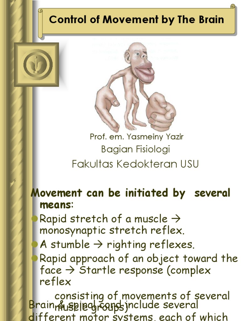 Control of Movement by The Brain: Fakultas Kedokteran USU | Download ...