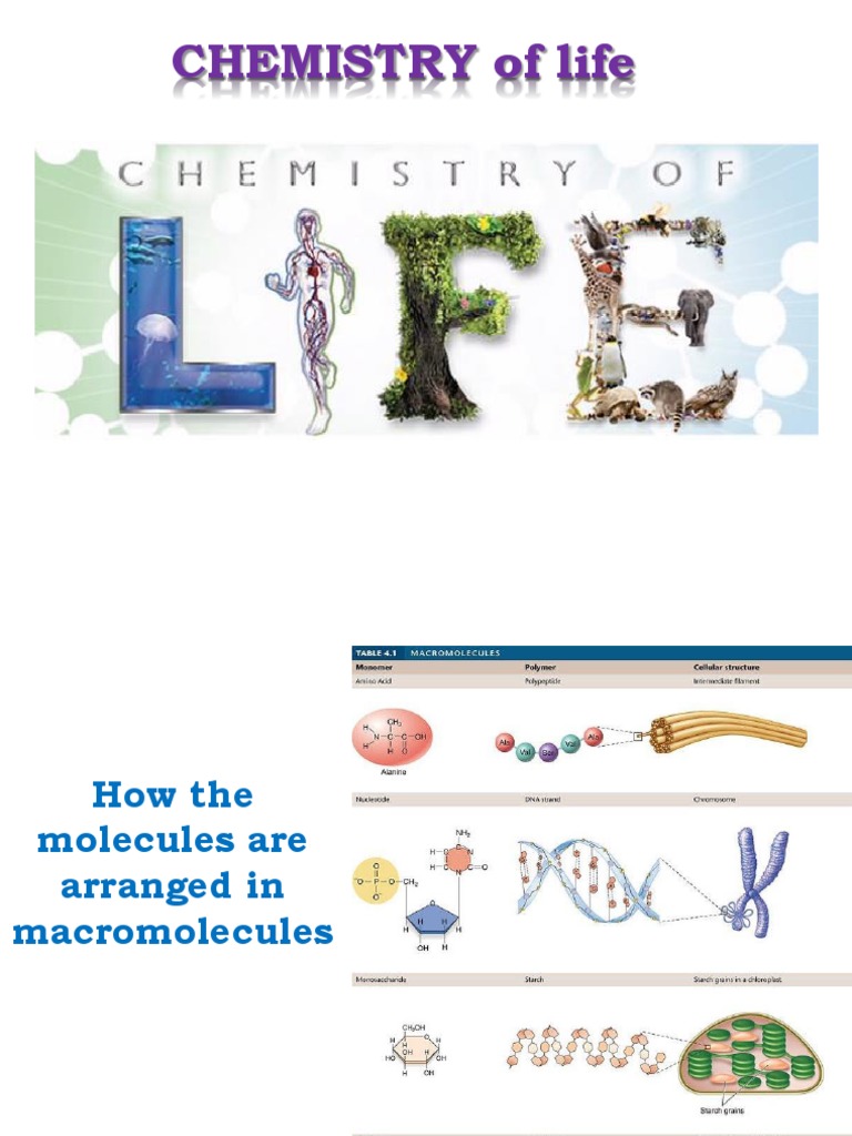 Lec 2 NBB Chemistry of Life | PDF | Chemical Bond | Ion