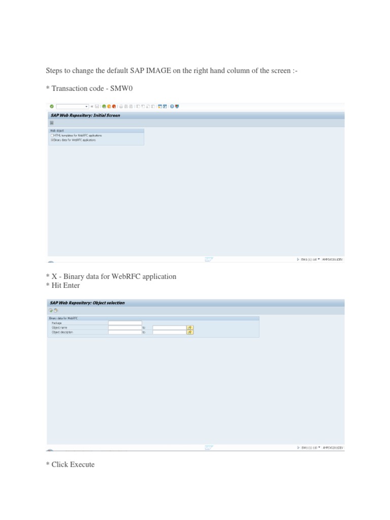 Steps To Change The Default SAP IMAGE On The Right Hand Column of The ...