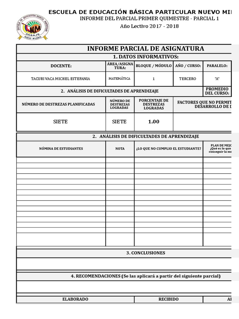 Informe Parcial 2017 | PDF