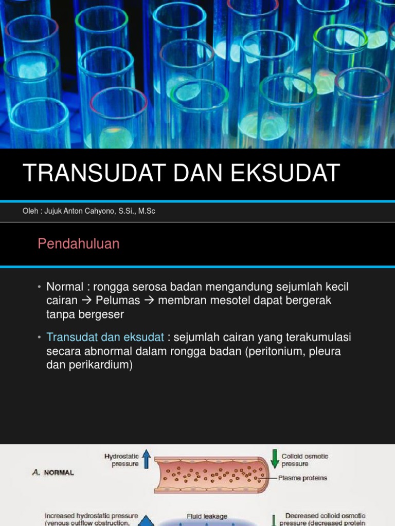 Transudat Dan Eksudat | PDF