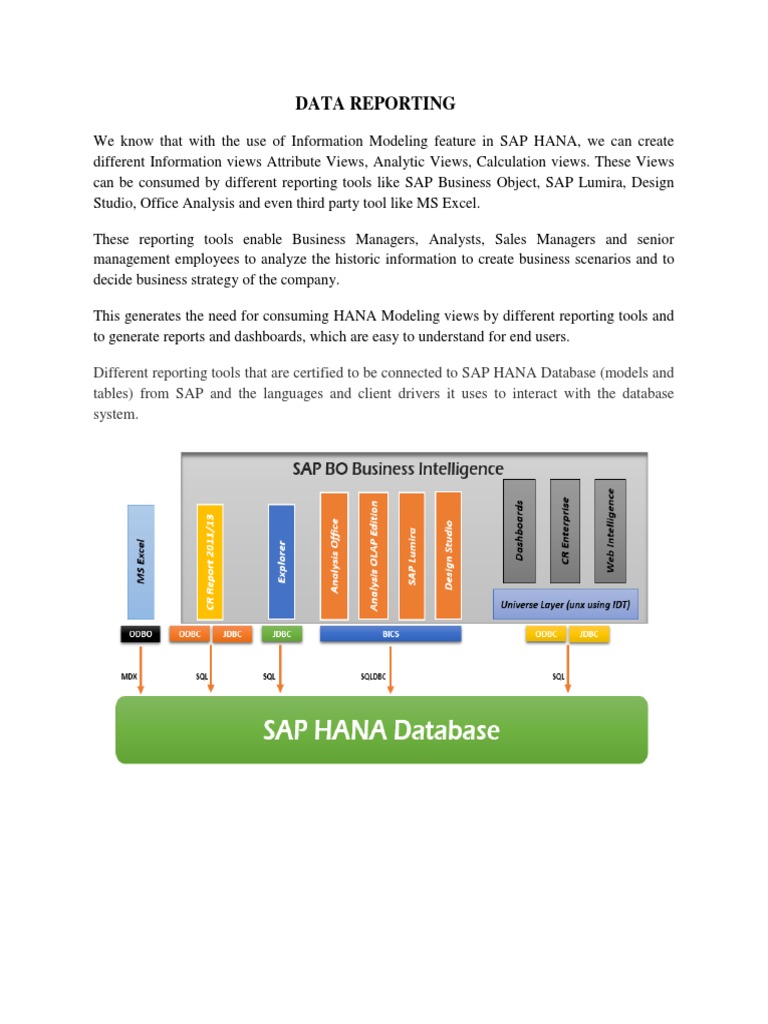 SAP Data Reporting Documentation | PDF | Business Intelligence | Databases