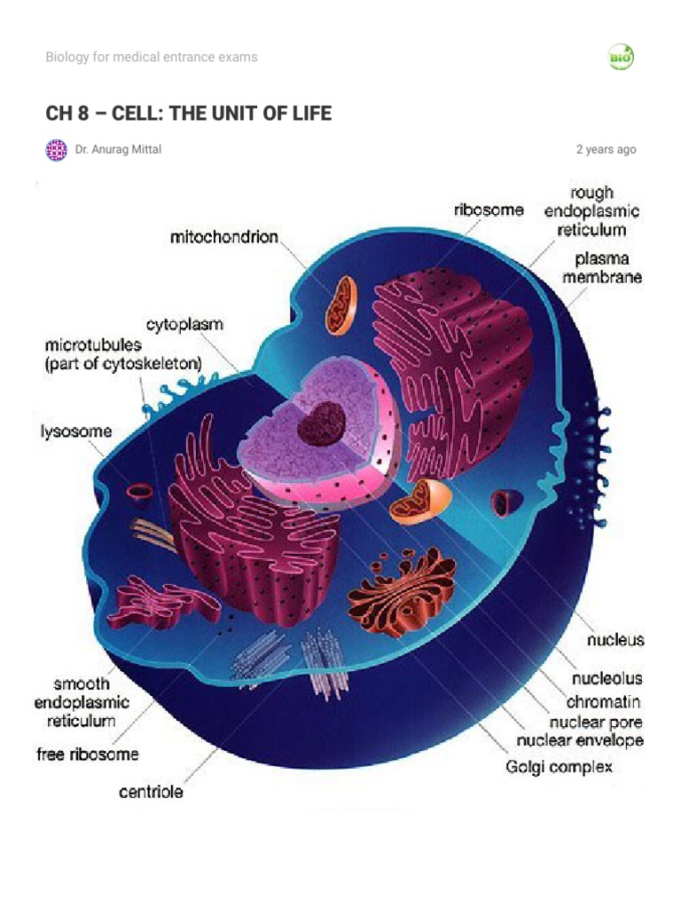 Cytology Full Notes Ncert | Cell (Biology) | Cell Nucleus | Free 30-day ...