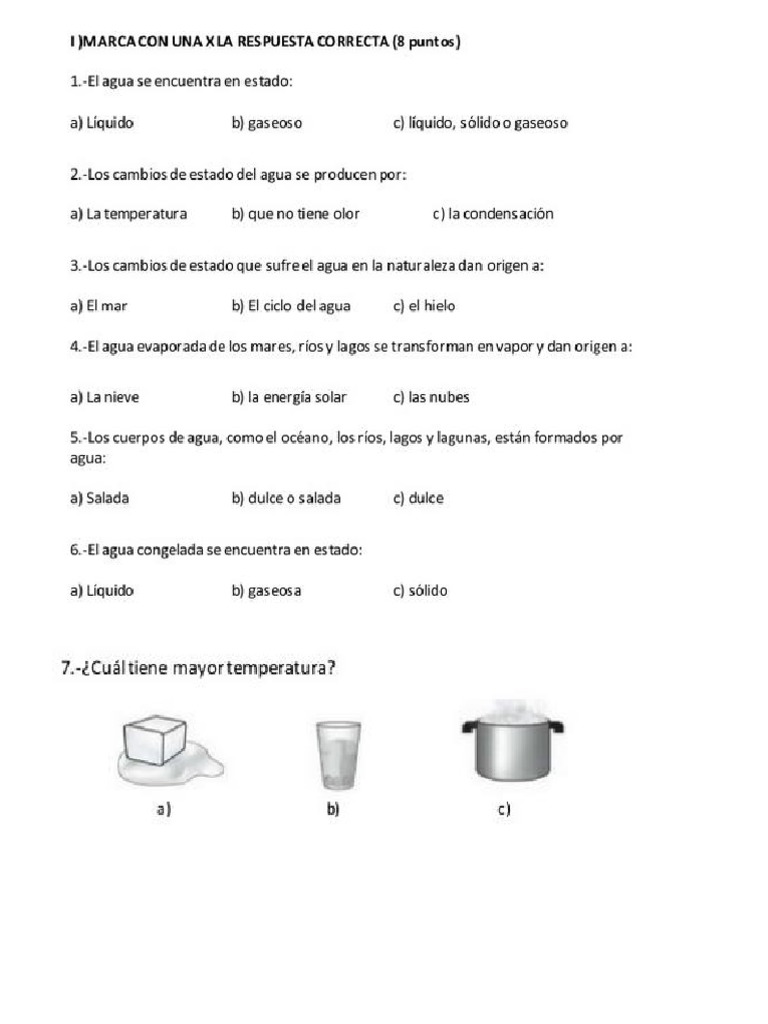 Prueba Del Ciclo Del Agua | PDF