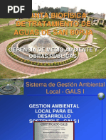 30 Vegetales Con Sus Cromosomas | PDF