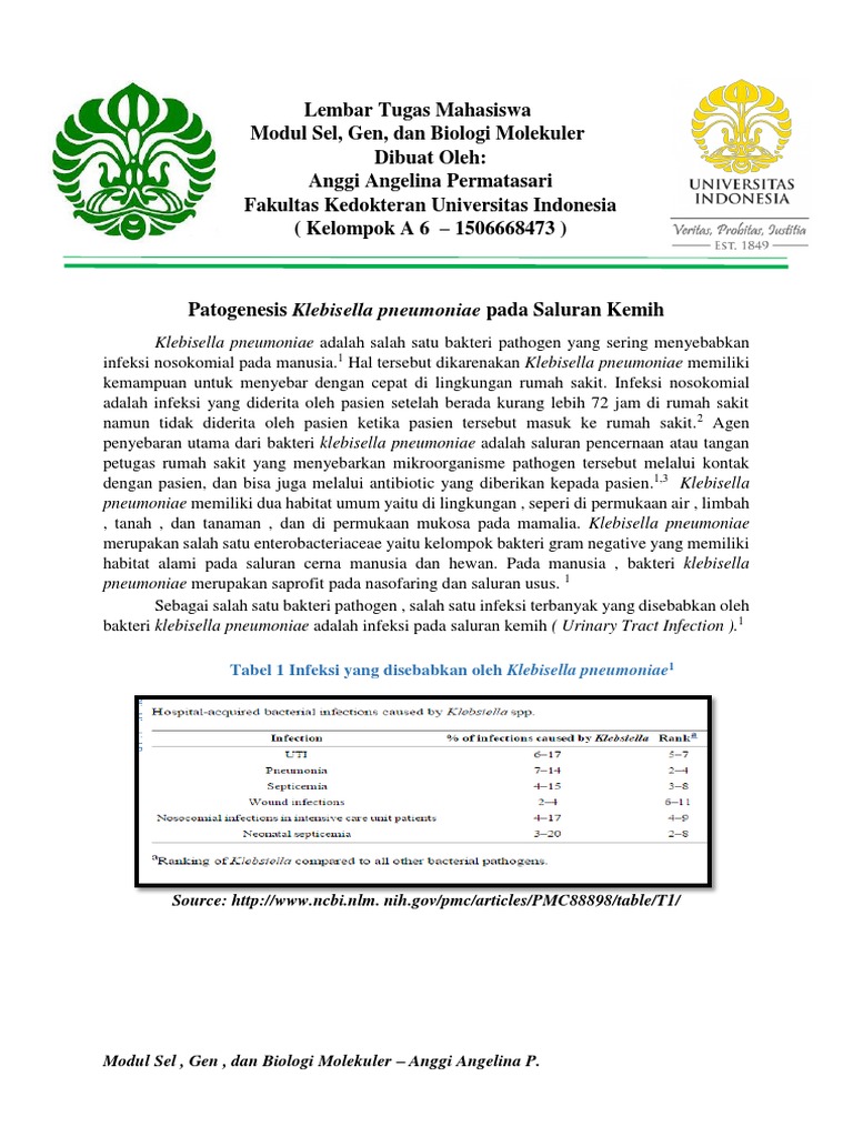 Patogenesis Klebsiella Pneumoniae Pada Infeksi Saluran Kemih | PDF