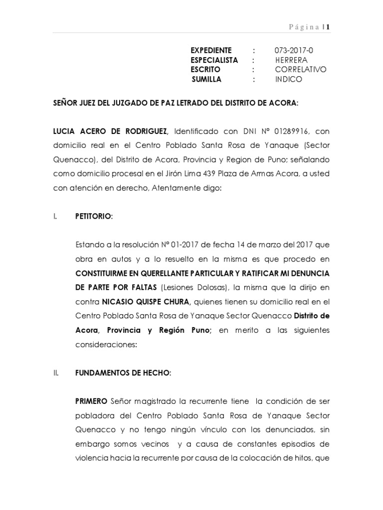 Se Constituye en Querellante Particular | PDF | Castigos | Policía