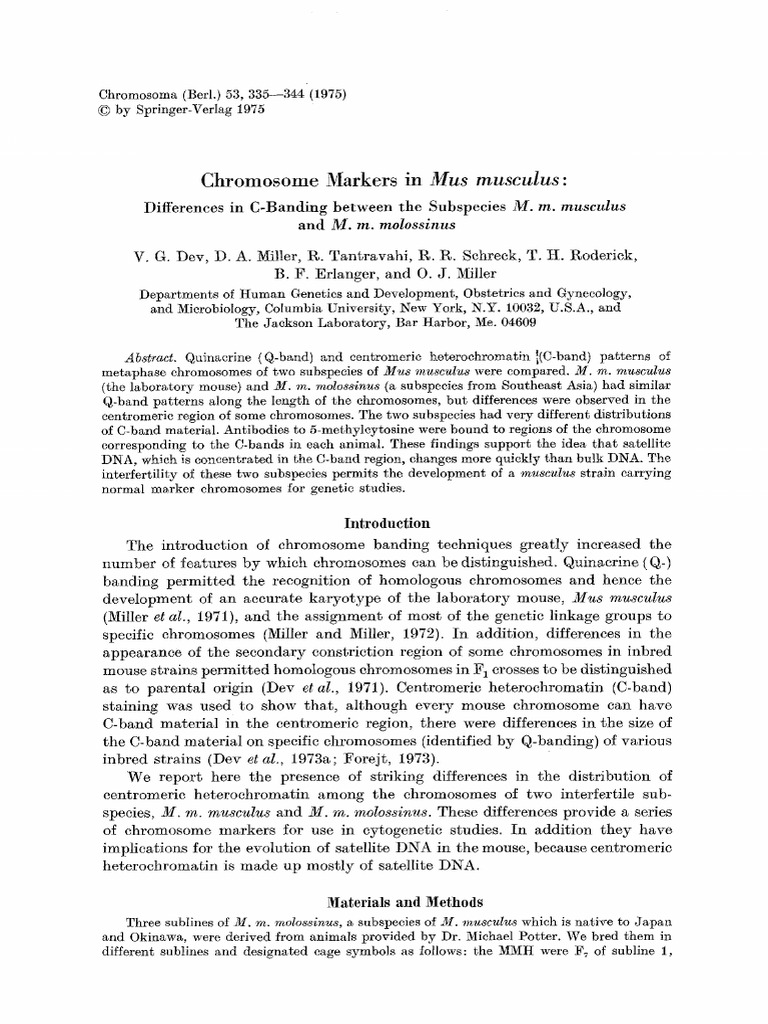 C-Banding Variations in Mus musculus Subspecies | PDF | Karyotype ...