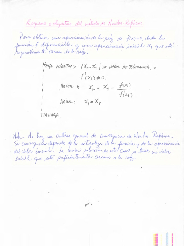 Algoritmo Newton Raphson | PDF