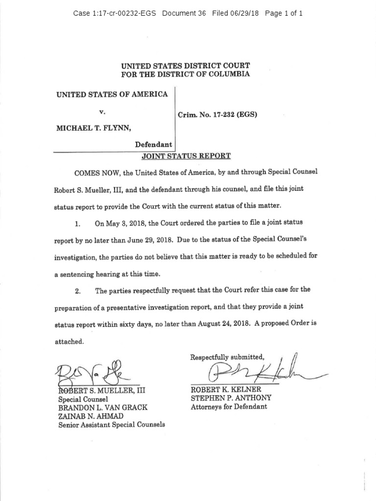 Flynn Joint Status Report June 29 | PDF
