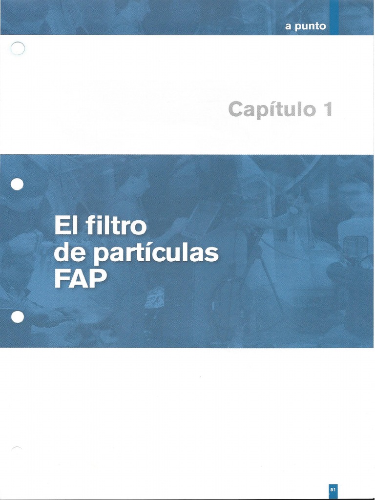 El Filtro de Particulas FAP PDF | PDF