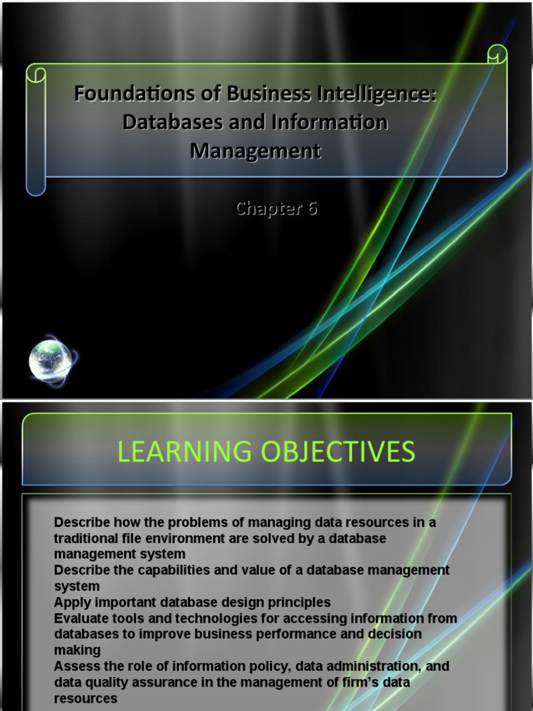 Foundations of Business Intelligence | PDF | Databases | Internet & Web