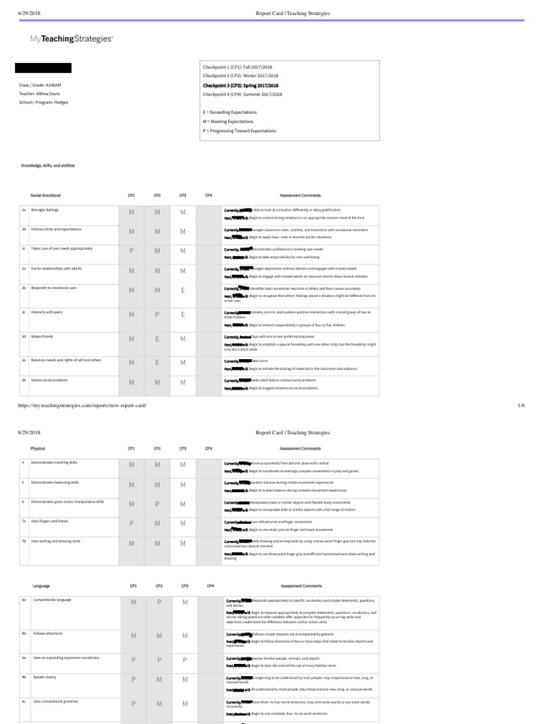 Report Card Teaching Strategies | PDF | Question | Phonics