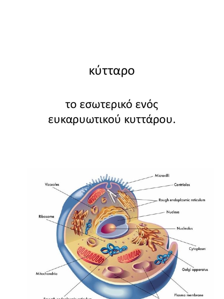 κυτταρο | PDF
