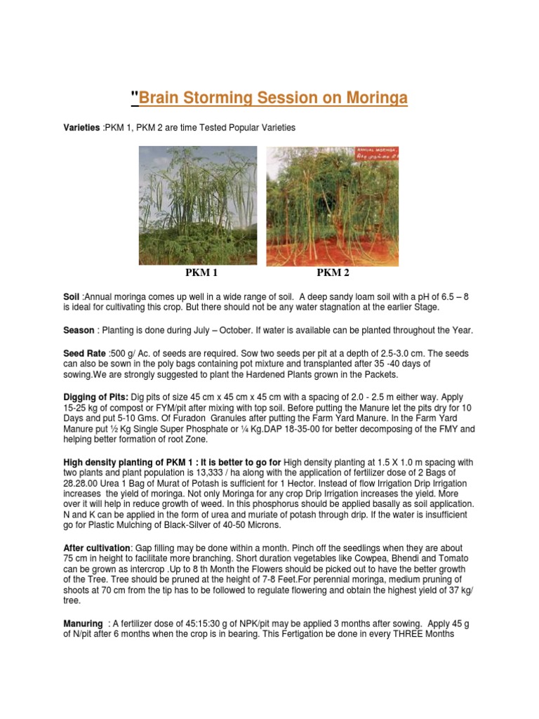 Brain Storming Session On Moringa | PDF | Sowing | Manure