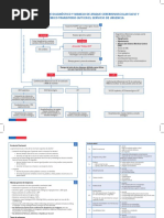 Protocolo Toma de Ecg | PDF | Electrocardiografia | Medicina Interna