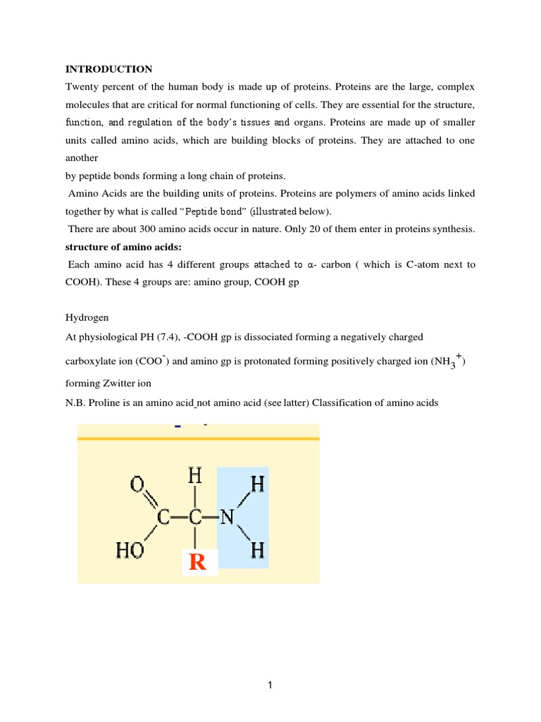 Amino Acids Assignment | PDF | Amino Acid | Proteins