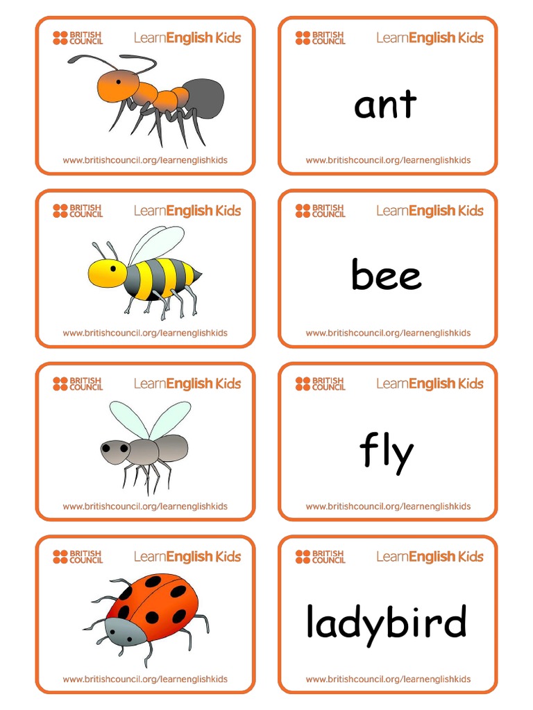 Flashcards Bugs PDF | PDF