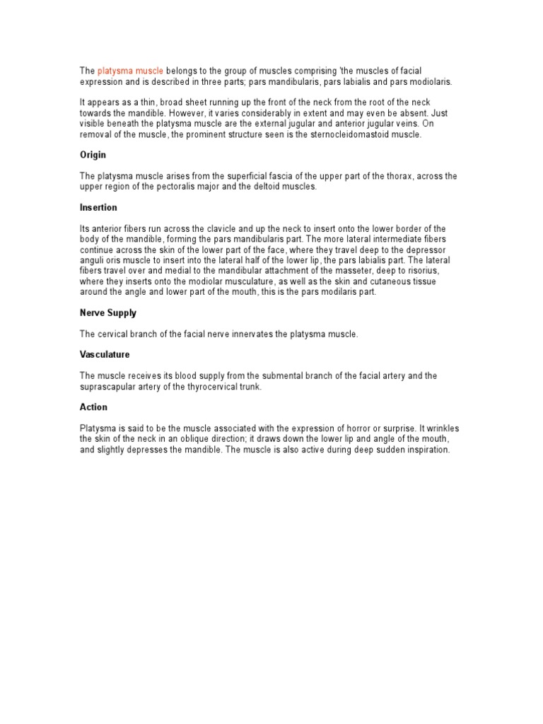 Anatomy and Function of the Platysma | PDF