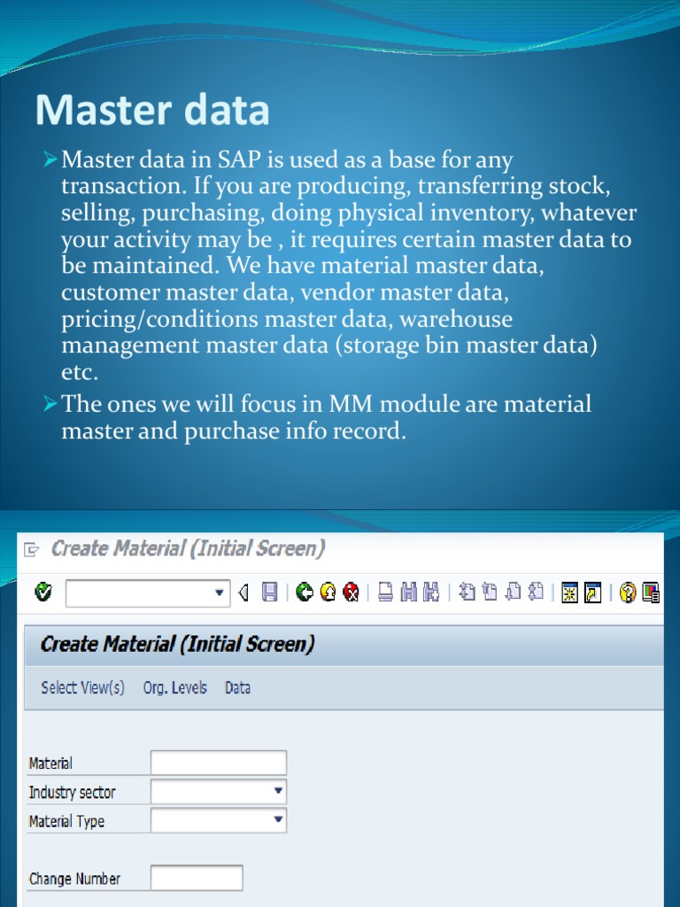 SAP MM Master Data Guide | PDF | Warehouse | Economies