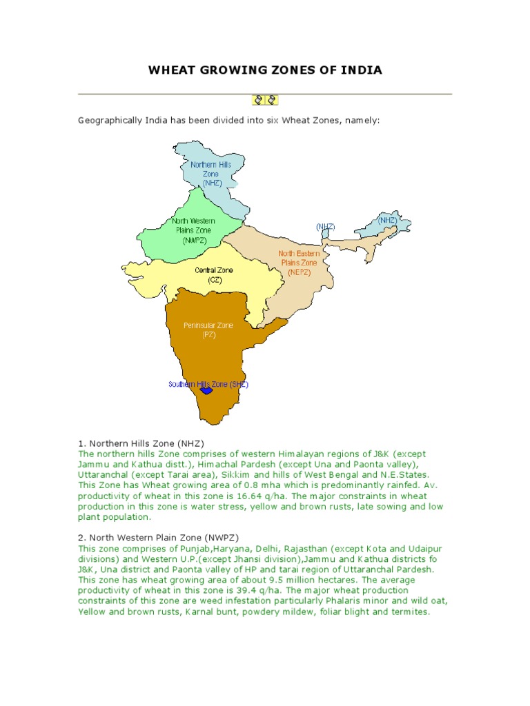 Wheat Growing Zones of India | PDF | Wheat | Crops