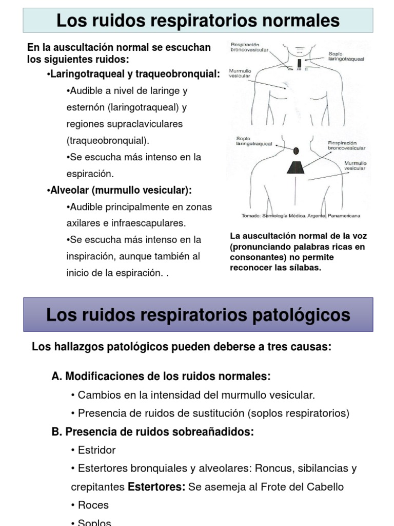 ESTERTORES PULMONARES Y RUIDOS ADVENTICIOS Y RESONCIA VOCAL WILSON ...