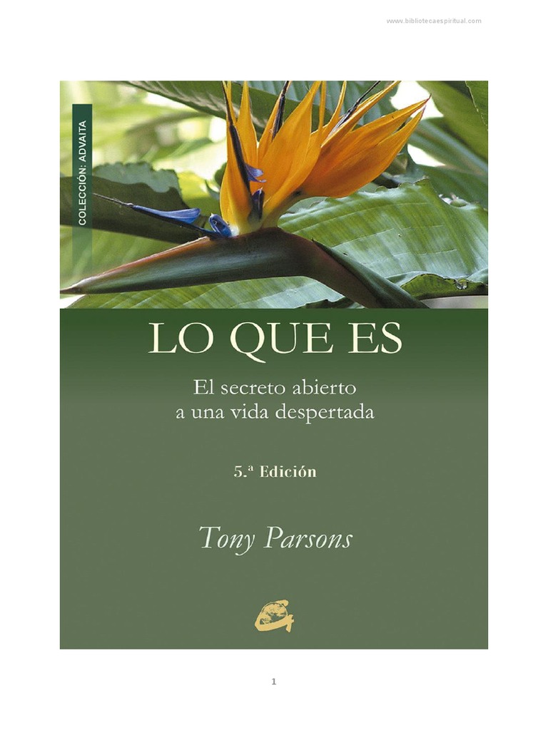 Lo Que Es | PDF | Amor | Vida