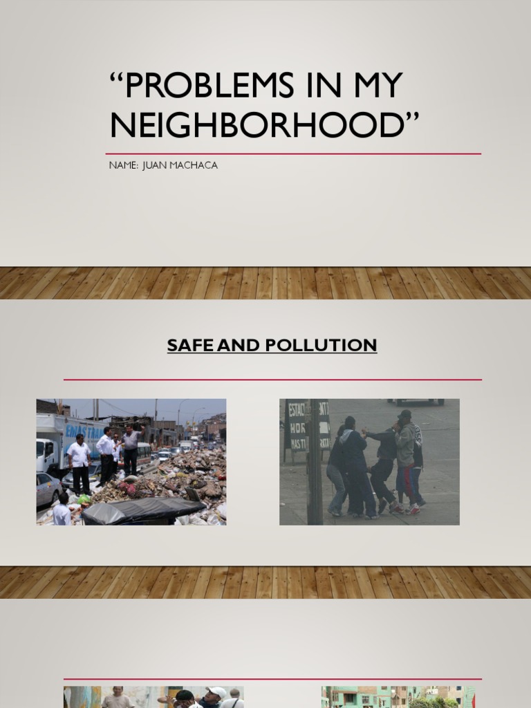 Neighborhood Safety and Pollution Issues | PDF