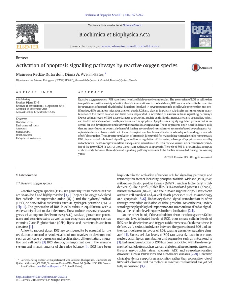 Lakesla Apoptosis | PDF | Apoptosis | Reactive Oxygen Species