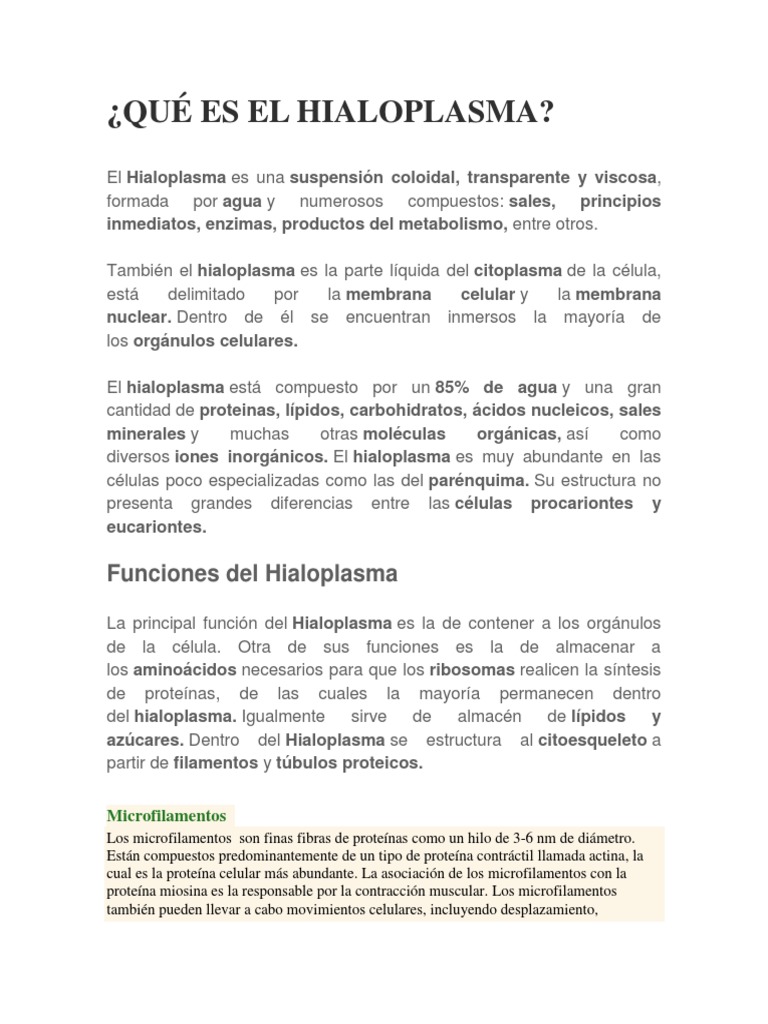 Qué Es El Hialoplasma | PDF | Citosol | Bioquímica