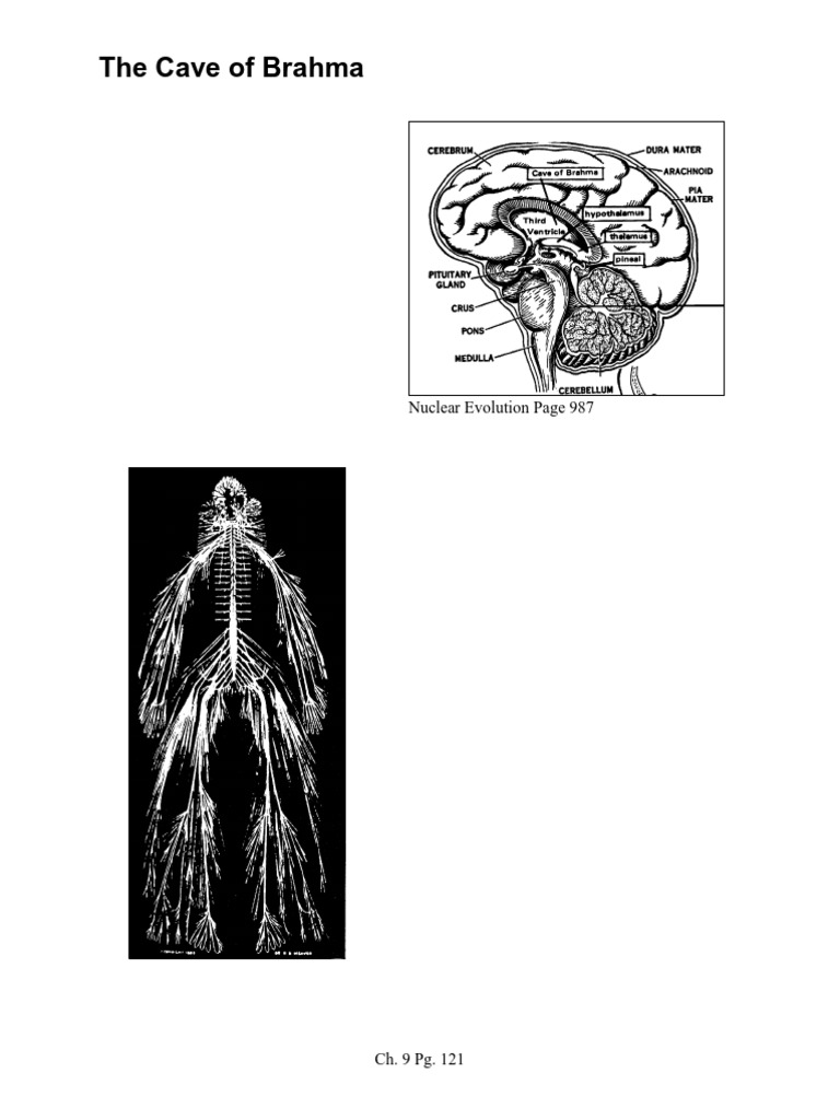 Third Eye Cave of Brahma | Awareness | Thought