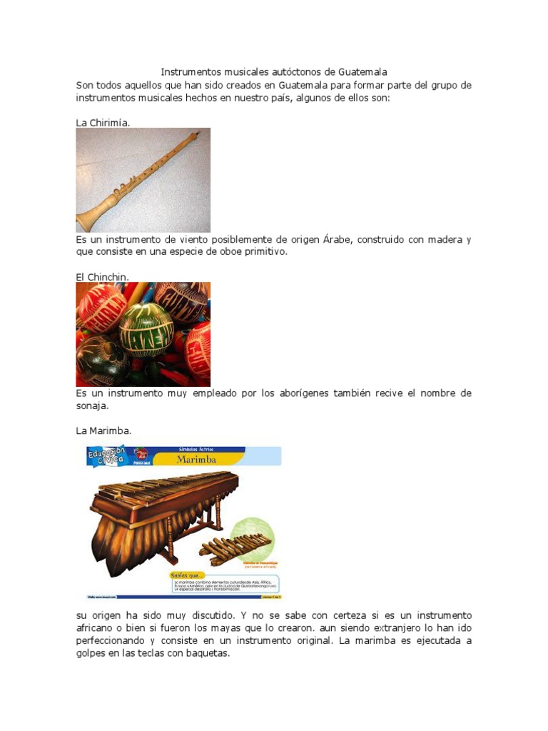 Instrumentos musicales autóctonos de Guatemala: una mirada a la rica ...