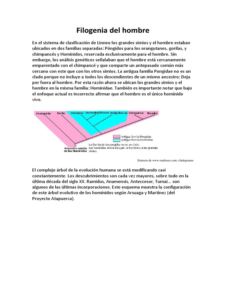 Filogenia Humana | PDF | neanderthal | pleistoceno